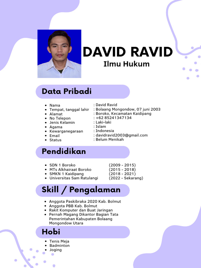 CV David Ravid | PDF
