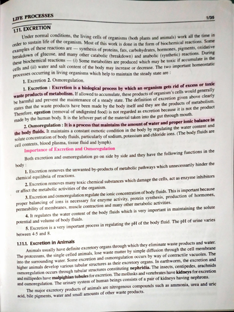 P.D. Bio Excretion System | PDF