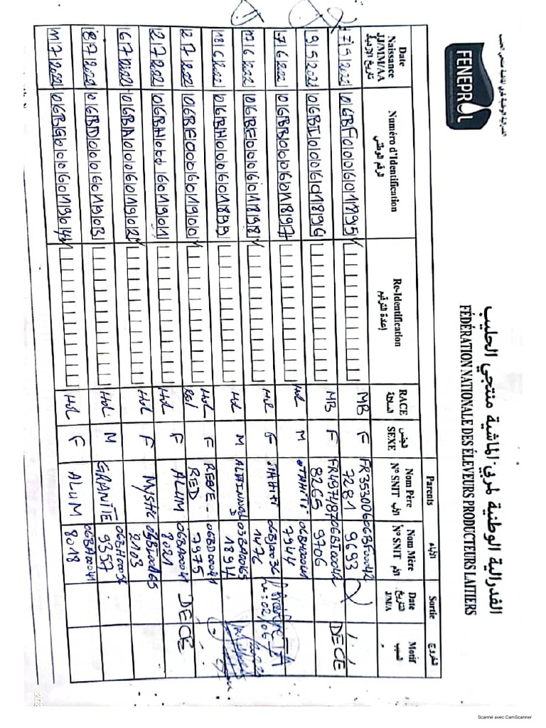 Regi Kadouri 2022 2023 | PDF