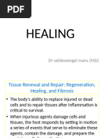 First vs. Second Intention Healing | PDF | Wound Healing | Scar