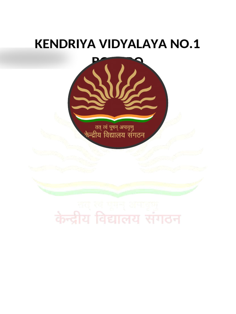 HINDI Portfolio Class 9 | PDF