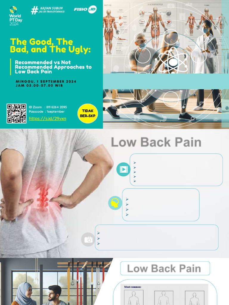 Low Back Pain | PDF
