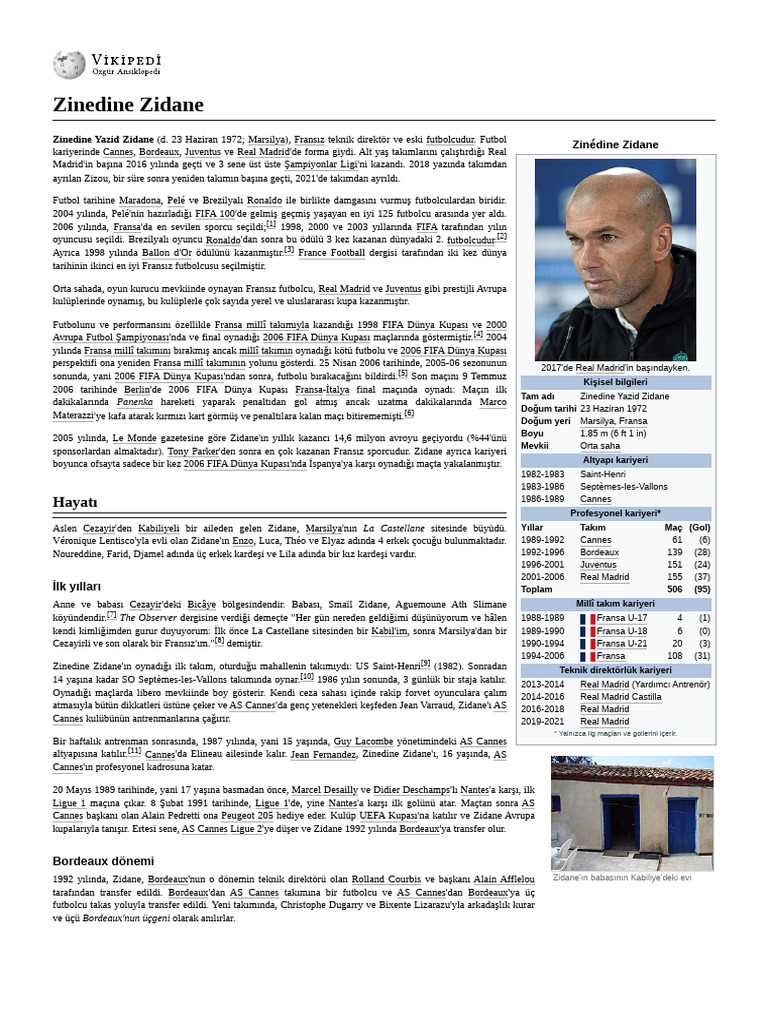 Zinedine Zidane | PDF