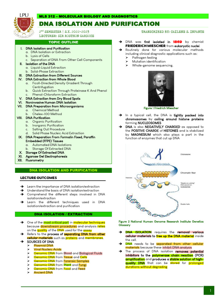 DNA Isolation and Purification Techniques | PDF | Protein Purification ...