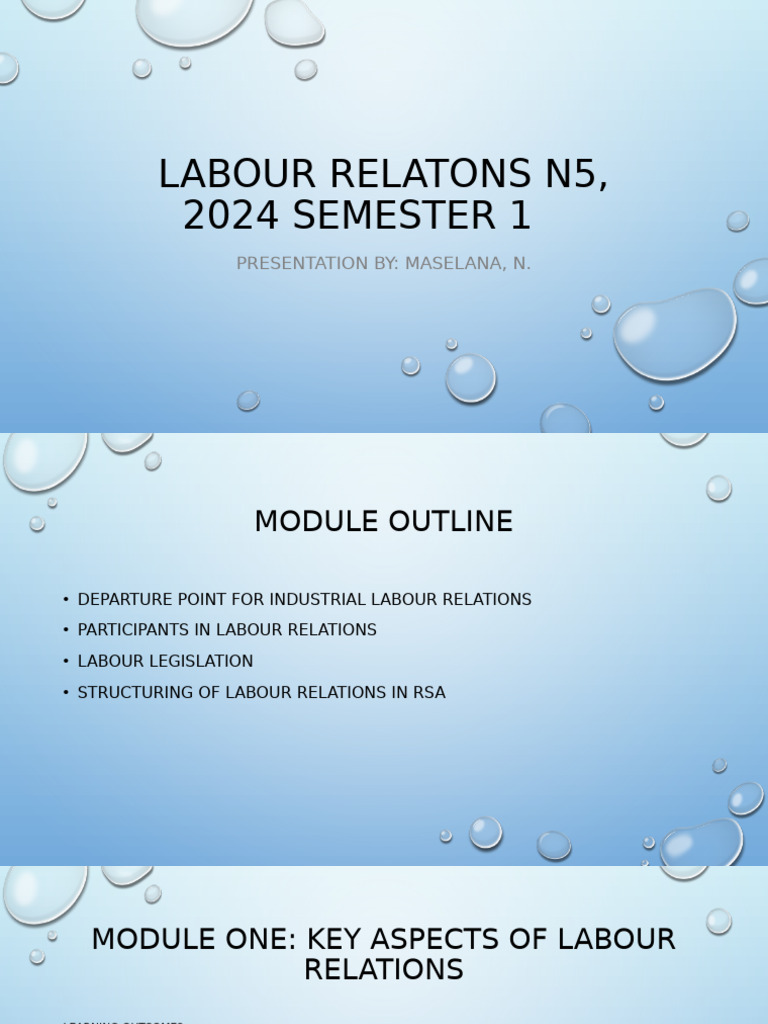 Understanding Labour Relations Dynamics | PDF | Employment | Labour ...