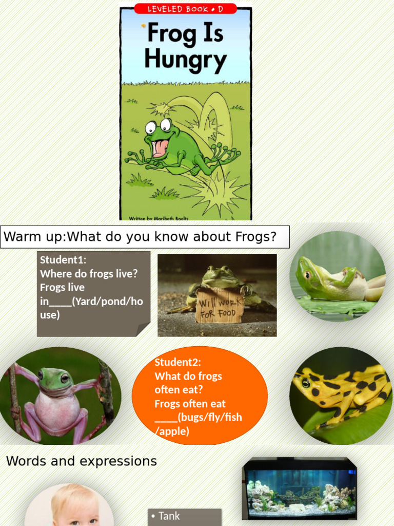 D2-Frog Is Hungry | PDF