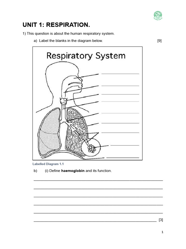 End of Unit Science 8 (1) | PDF | Respiratory System | Breathing