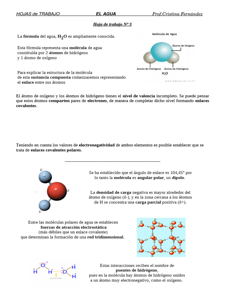 Estructura y propiedades del agua | PDF