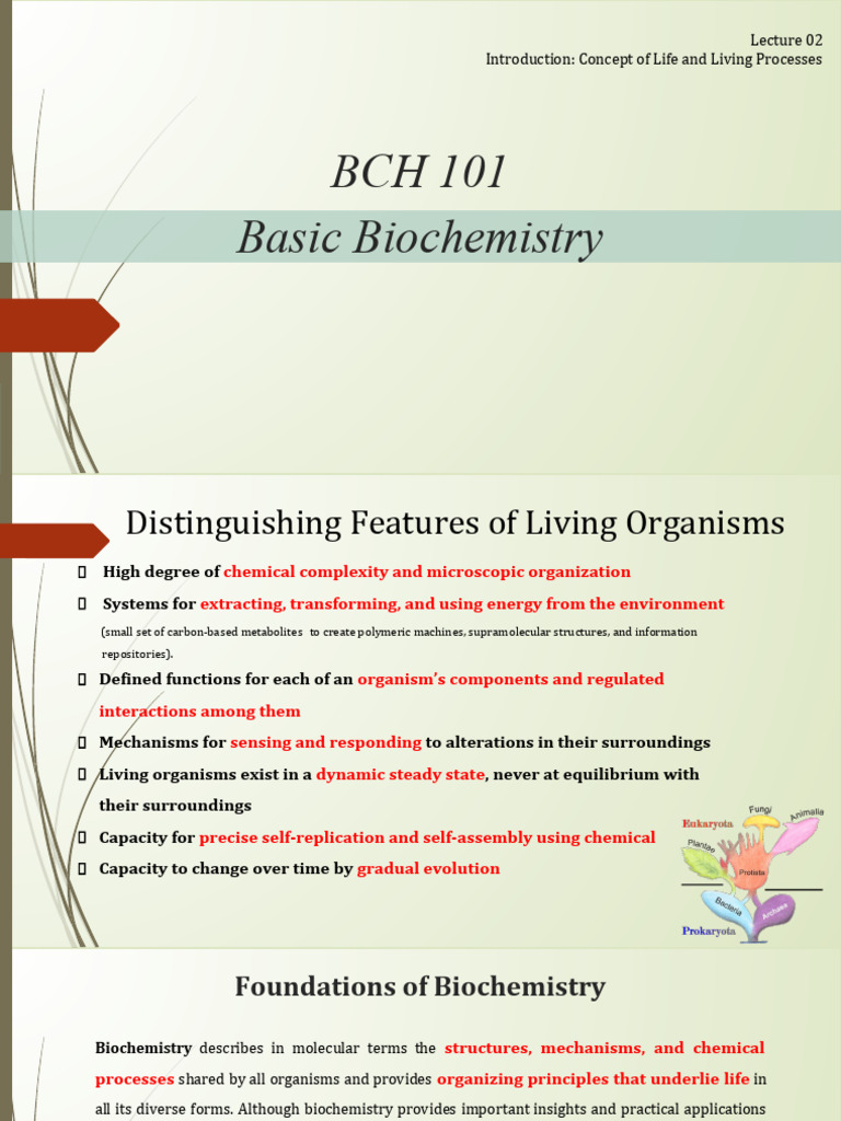 BRAC University BCH 101 Lecture 2 | PDF | Cell (Biology) | Cytoskeleton