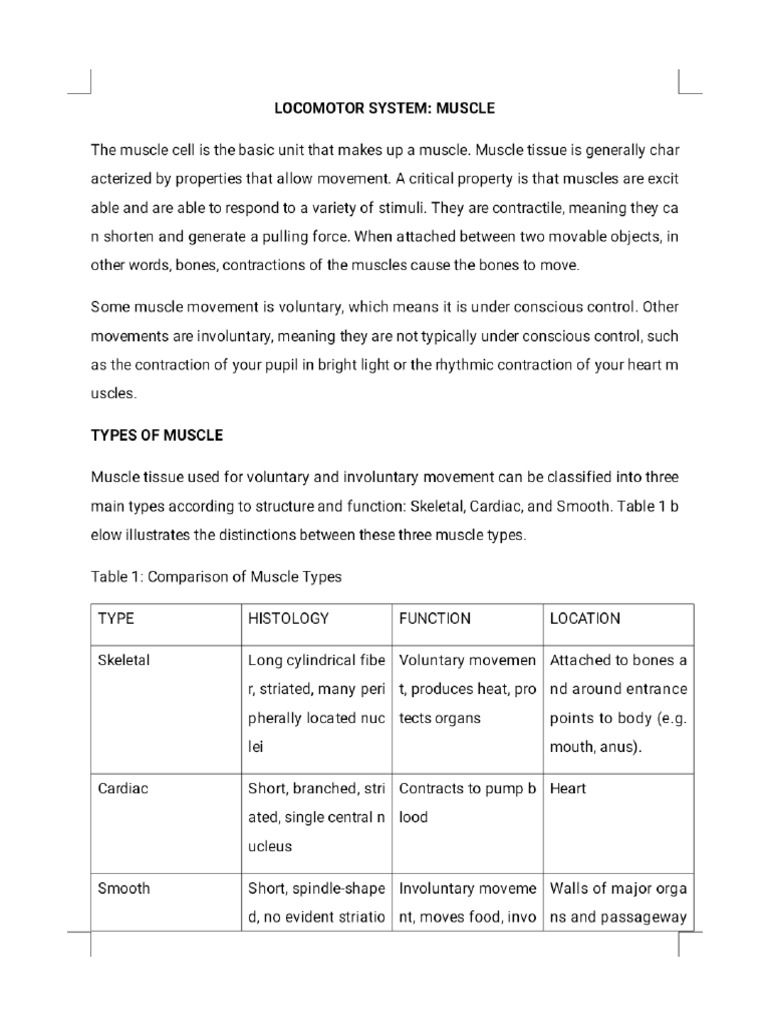 Locomotor System (Muscle) - Phoenix | PDF