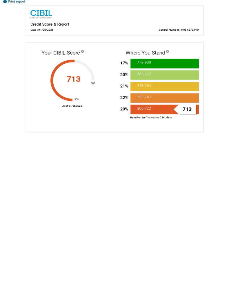 Cibil Report | PDF