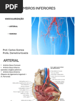 Anatomia da Região Glútea: Estruturas e Funções | PDF | Anatomia dos ...