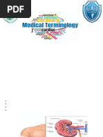 Urology Medical Terminology | PDF | Urinary System | Kidney