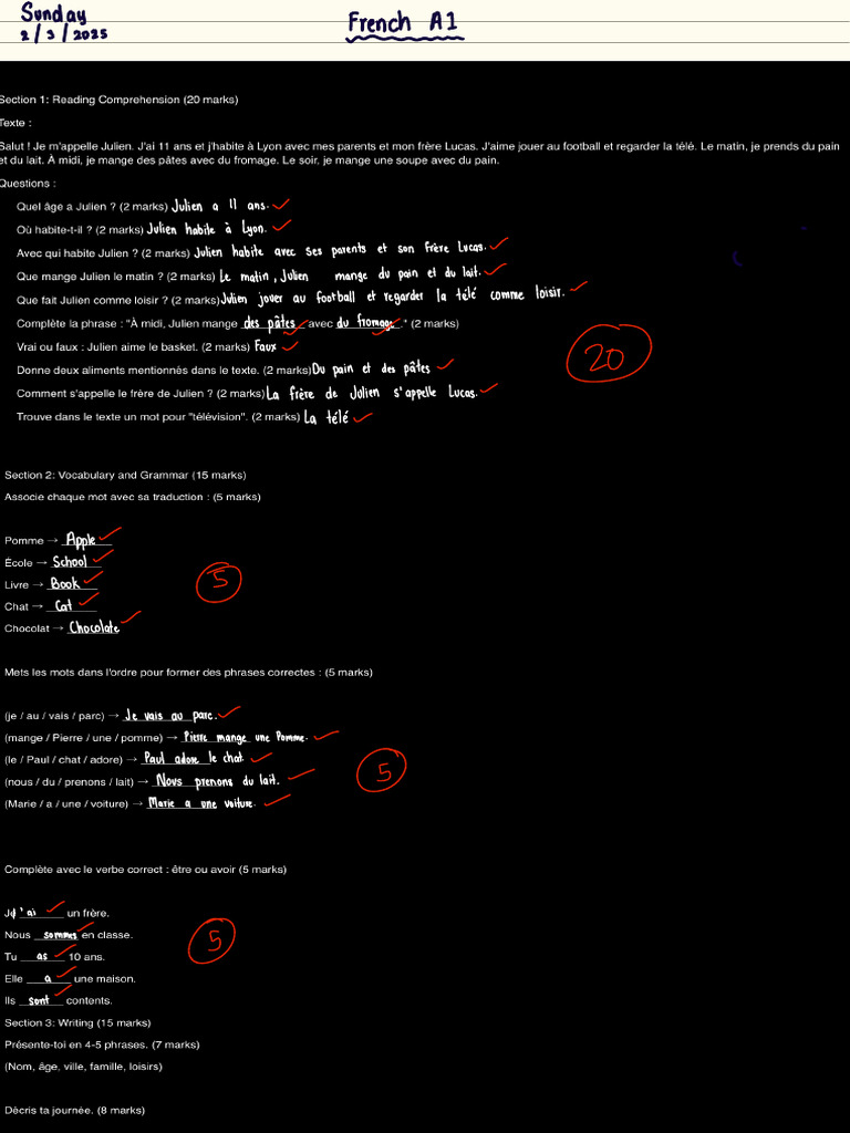 French A1 Level - Test | PDF