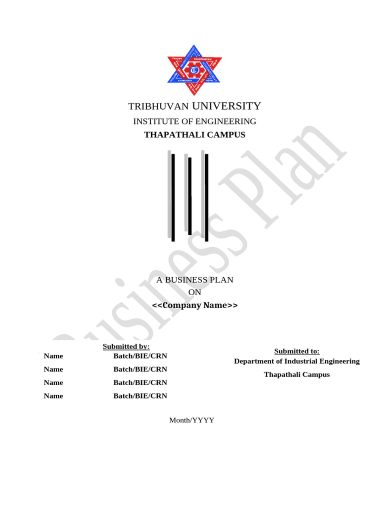BUSINESS PLAN Format To Create An Ideal Plan Accorinding To Tribhuvan University | PDF ...