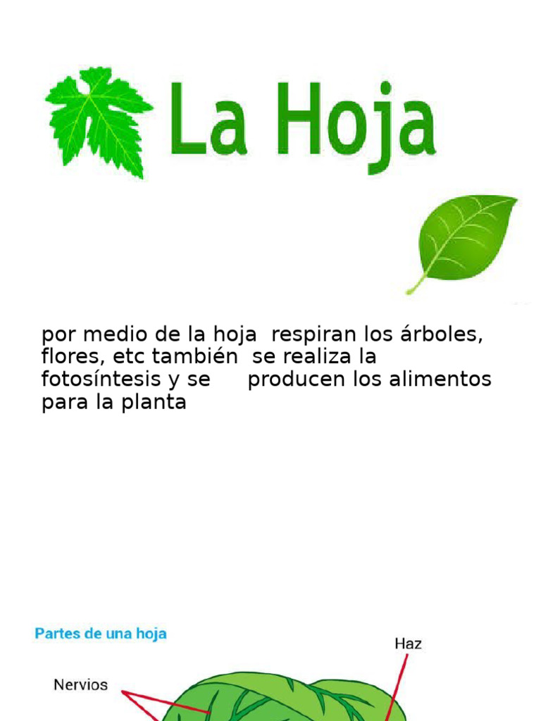 La Hoja | PDF