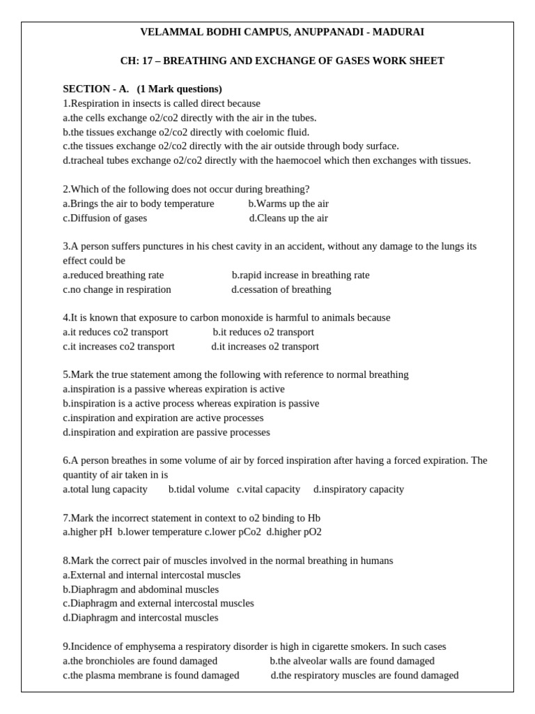 Breathing and Exchange of Gases Worksheet | PDF | Respiratory System ...