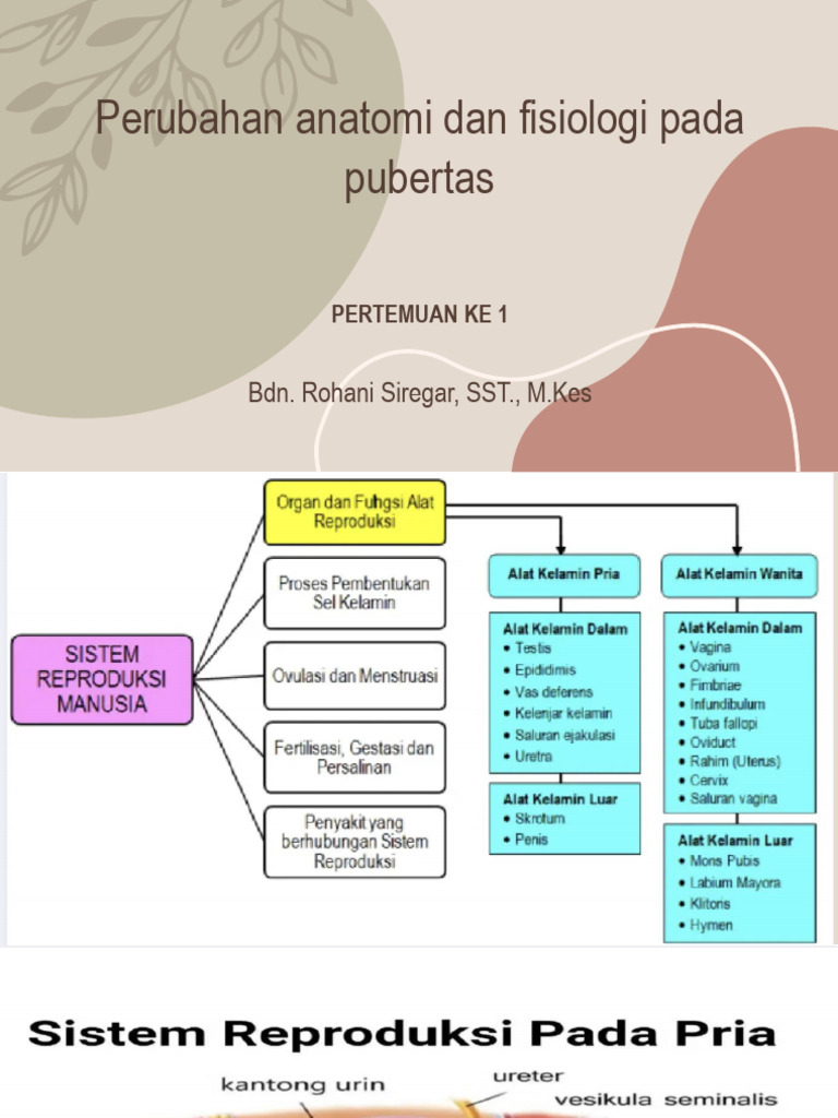 1 Perubahan Anatomi Dan Fisiologi Pada Pubertas | PDF
