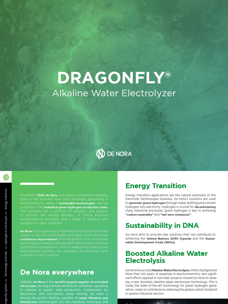 De Nora - Dragonfly System 240201 - Compressed | PDF | Electrochemistry ...