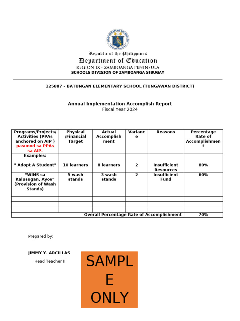 AIP Accomplishment REport | PDF