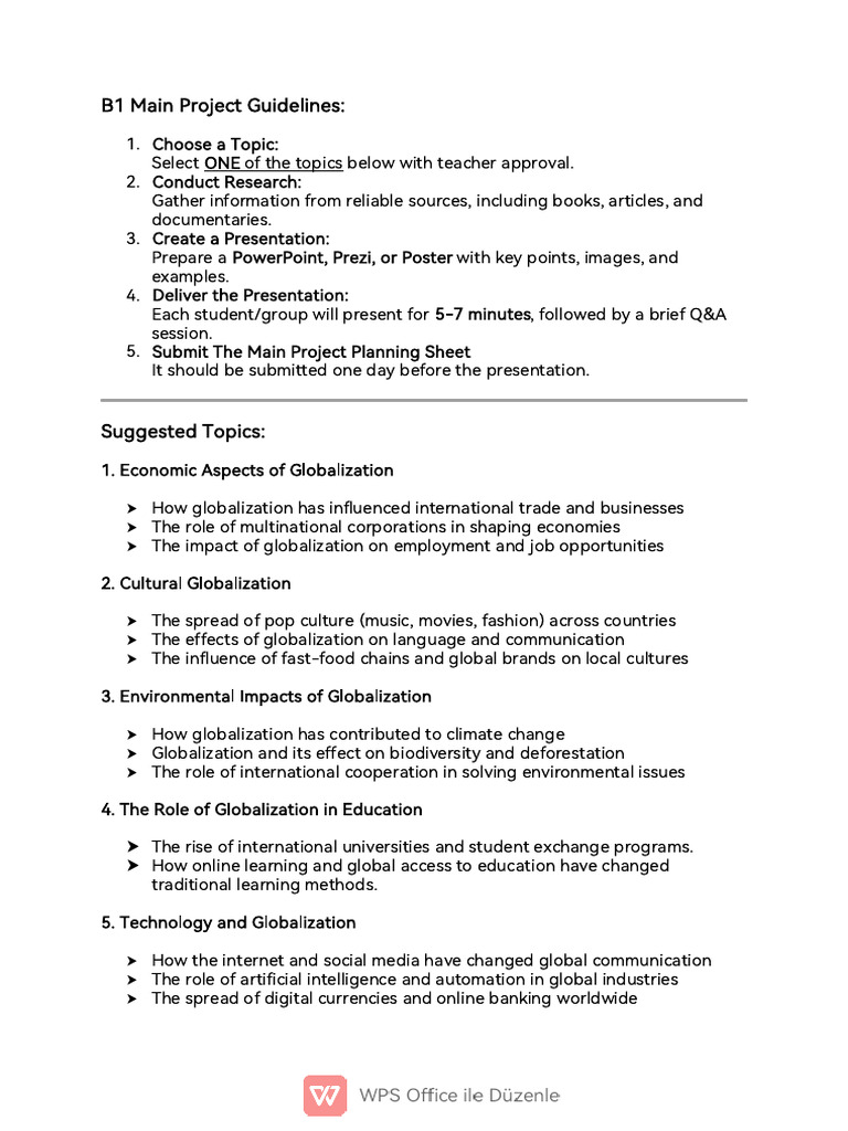 B1 Main Project Guidelines | PDF
