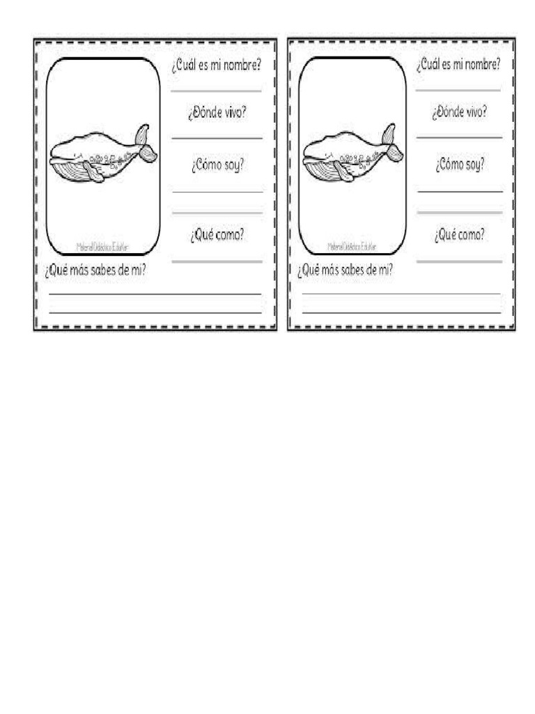 Actividad Ballena Azul 3ro 2025 | PDF