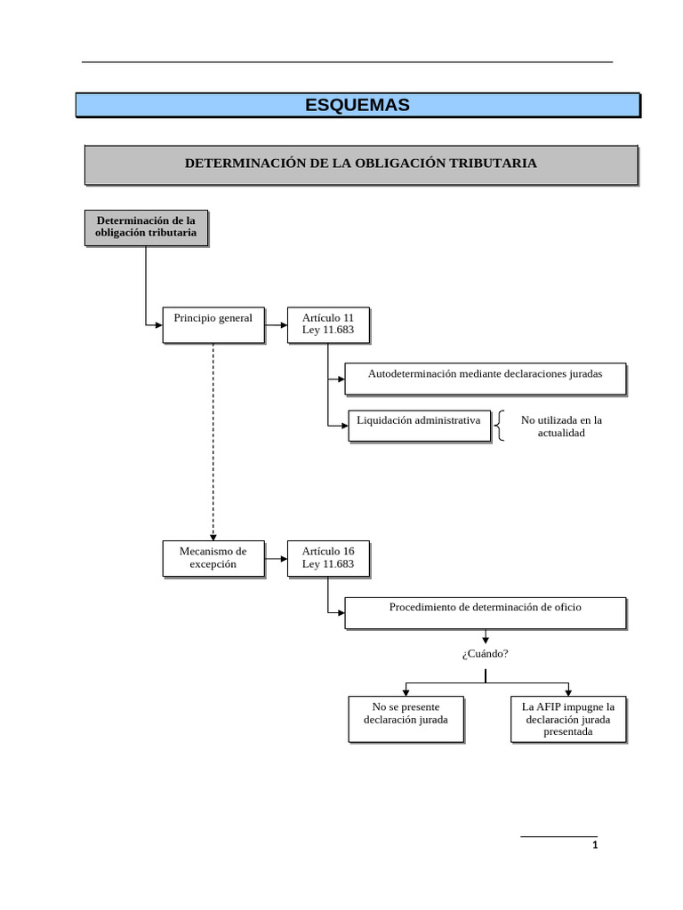 36 Esquemas de Determinacion de Oficio | PDF