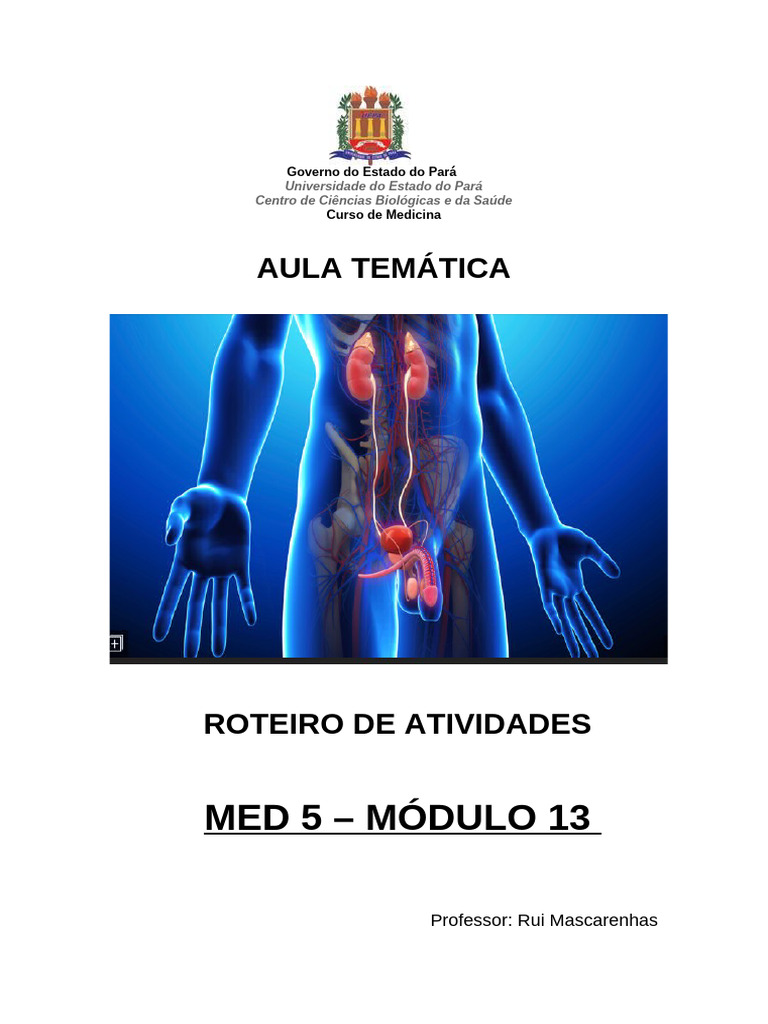 ROTEIRO AULA Uro-Onco 2021.1 | PDF | Câncer de próstata | Câncer