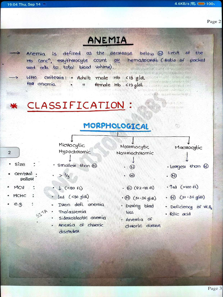 Pdf24 Images Merged Compressed | PDF