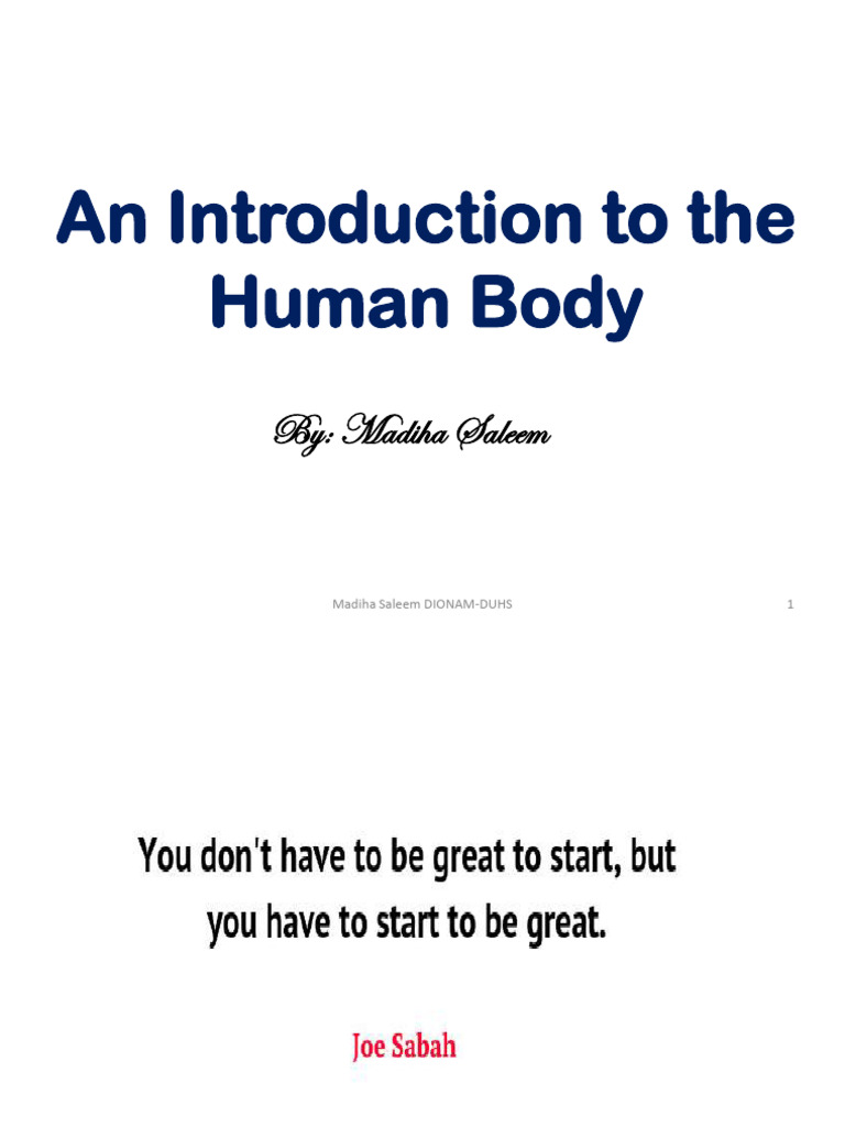 Anatomy and Physiology Overview | PDF | Abdomen | Anatomical Terms Of ...