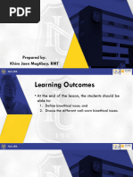 Types of Euthanasia Explained | PDF | Death | Medicine