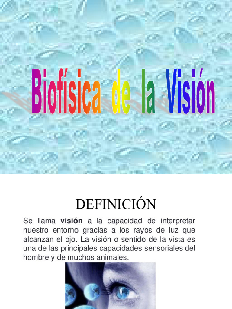 La Visión | PDF | Ojo humano | Percepción visual