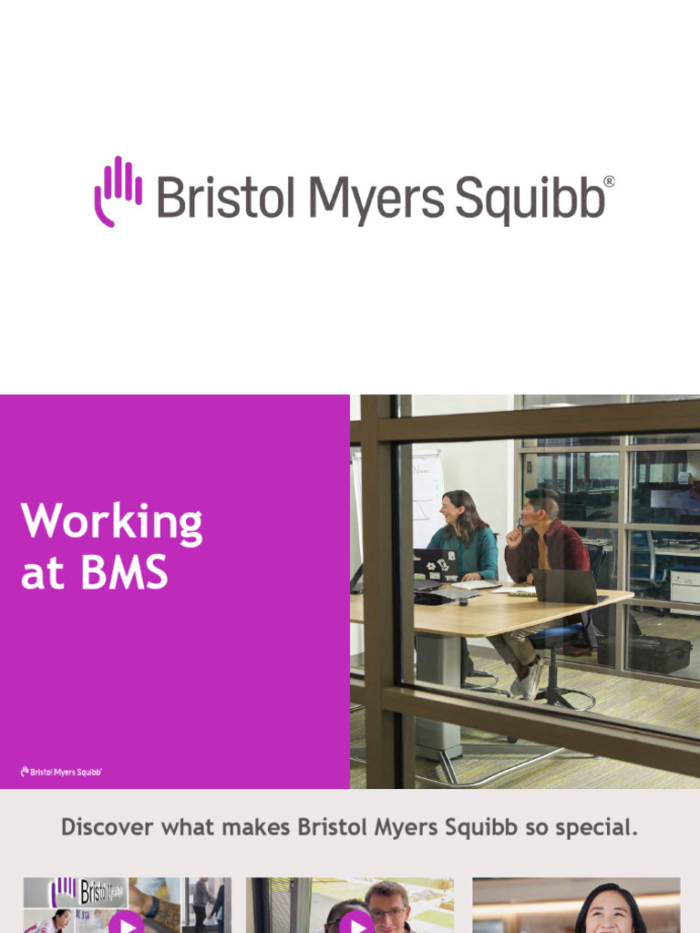 1743188626799034working at Bms Overview 3 | PDF