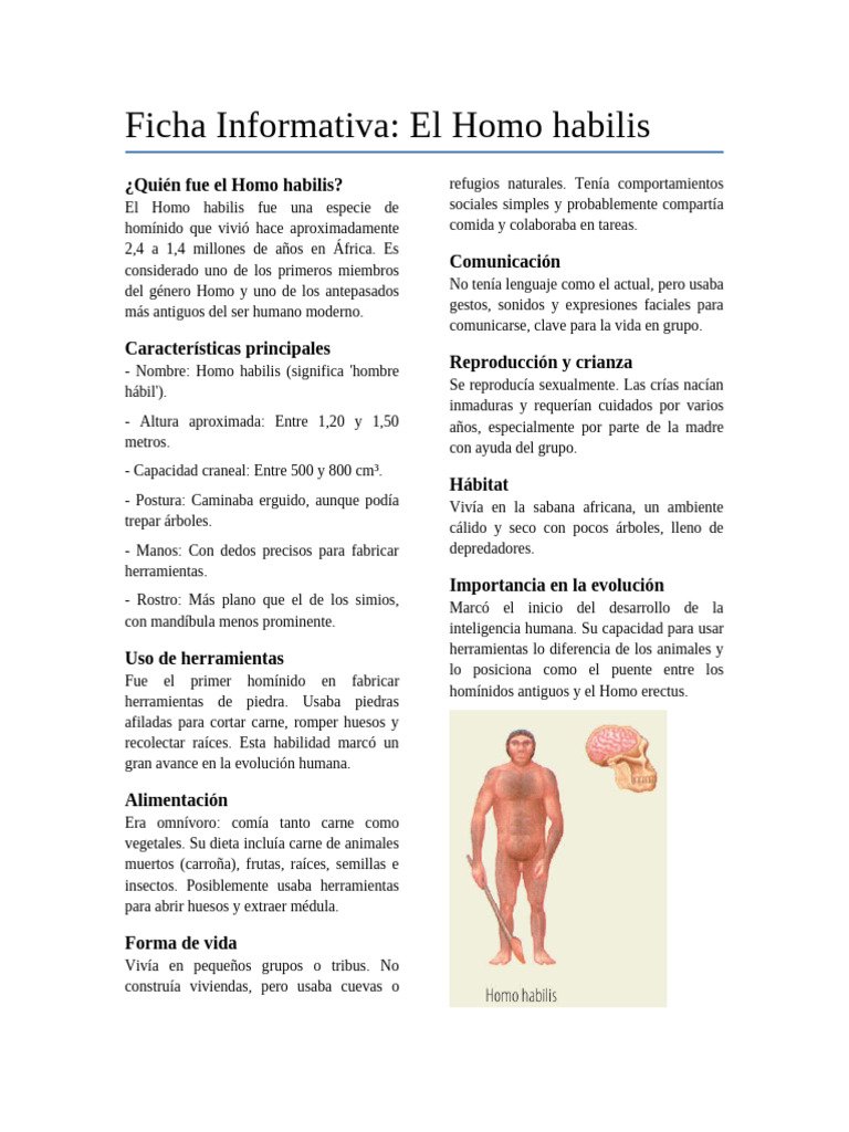 Ficha Informativa Homo Habilis | PDF | Homo | Hominidae