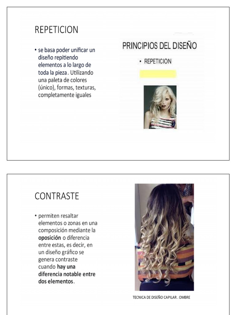Principios Del Diseno | PDF