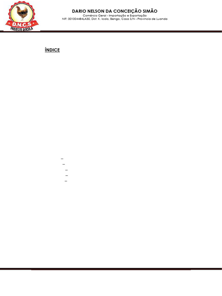 Teoria Plano de Negócio - Dario | PDF | Investimentos | Economia