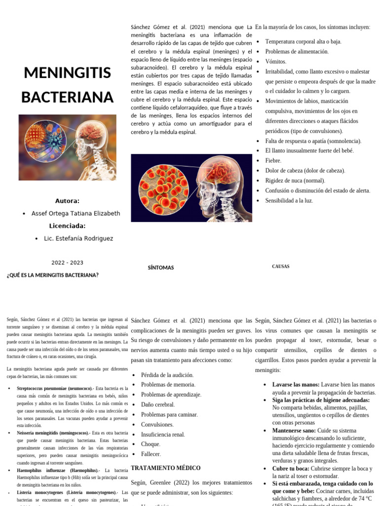 Meningitis Bacteriana | PDF | Meningitis | Enfermedades y trastornos