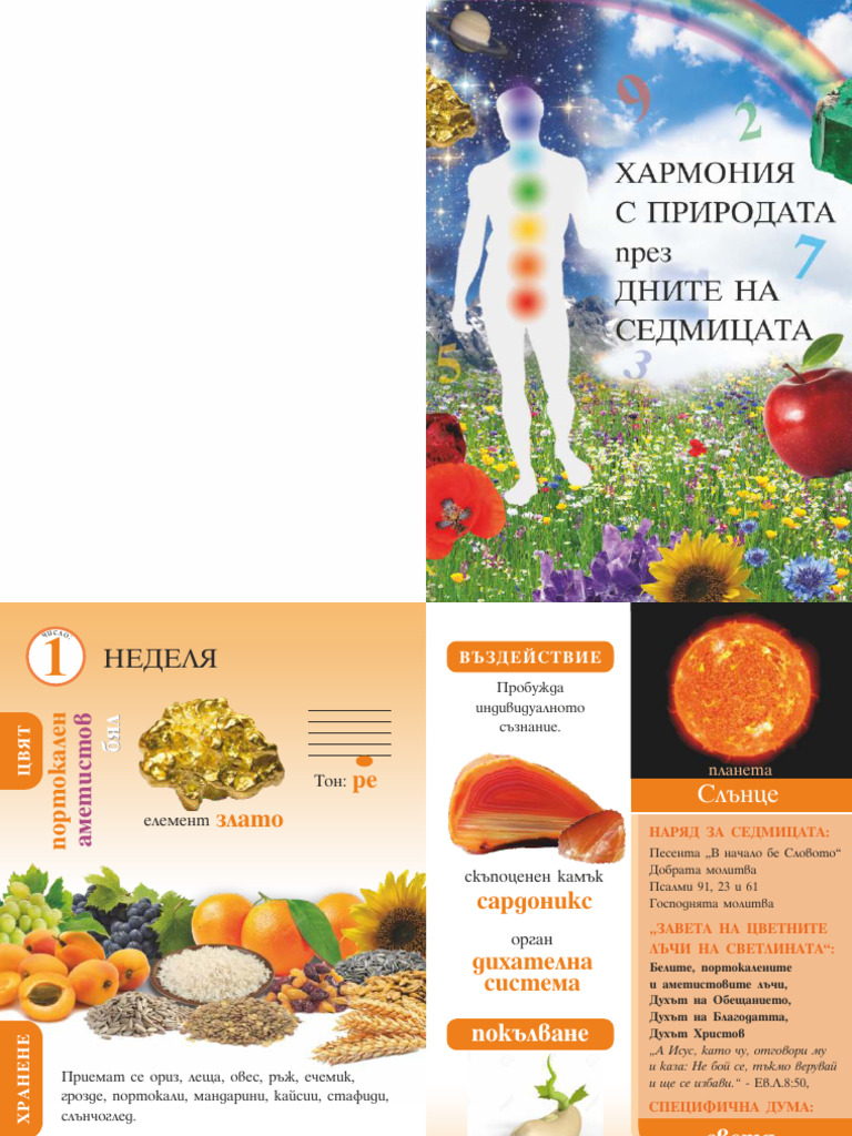 Broshhire 7 Days Primeri | PDF