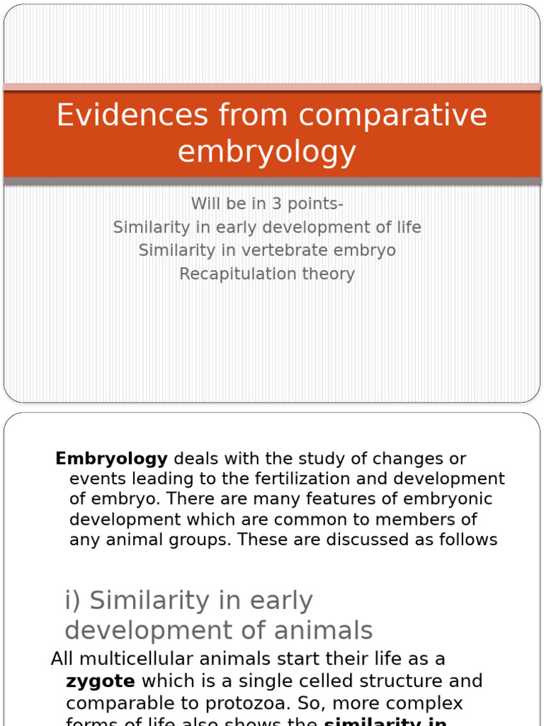 Evidences From Comparative Embryology | PDF