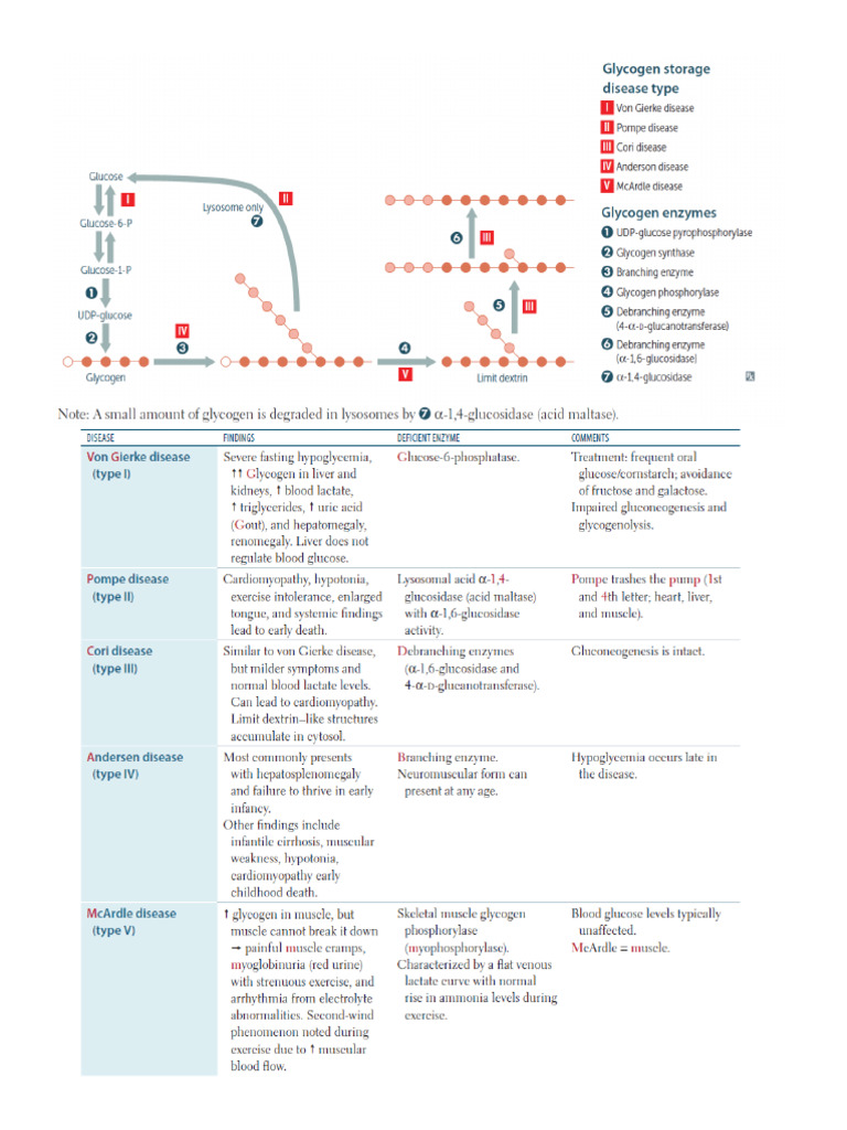 Glycogen Storage Disorders | PDF