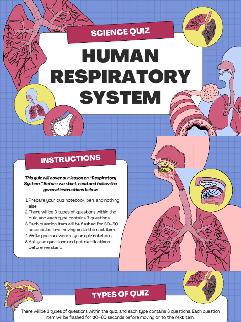 The Respiratory System. Sistem Pernafasan Manusia | PDF | Respiratory System | Respiratory Tract