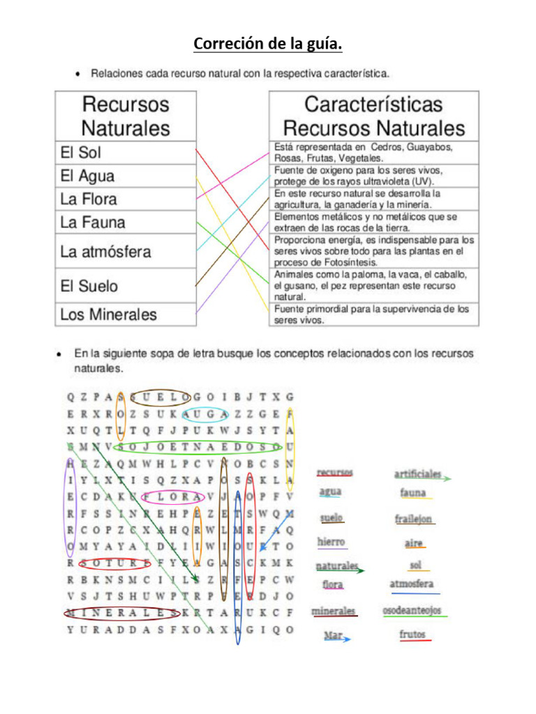 Correción de La Guía Recursos Naturales | PDF
