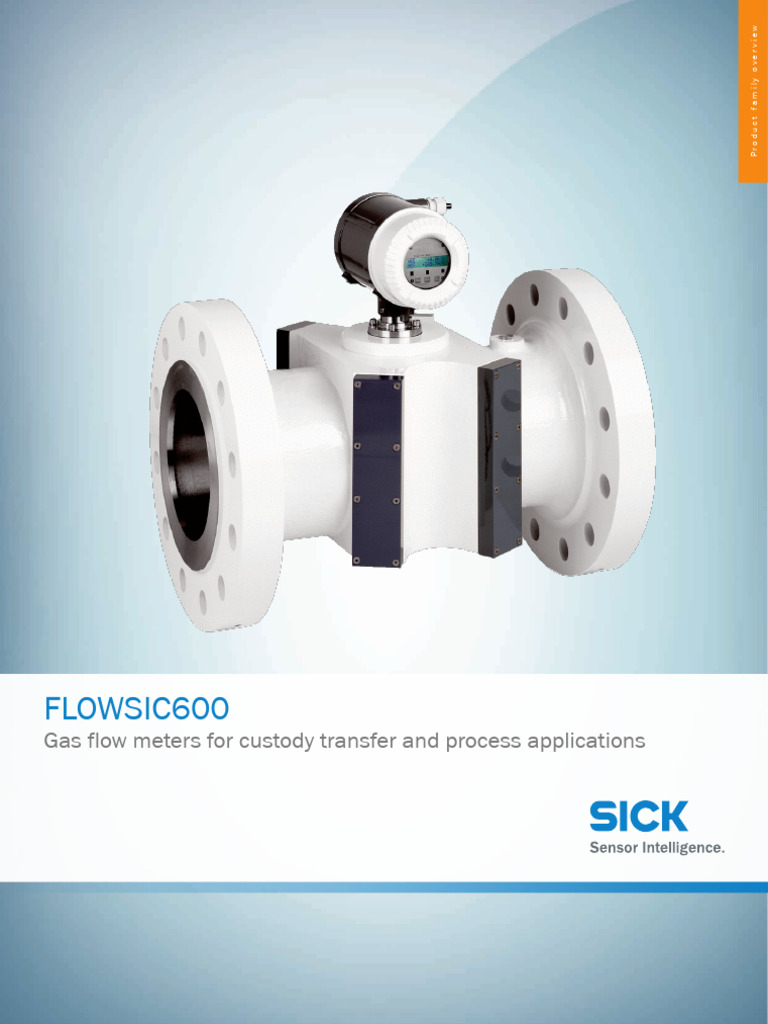FLOWSIC600 Gas Flow Meter Overview | PDF | Flow Measurement | Gases
