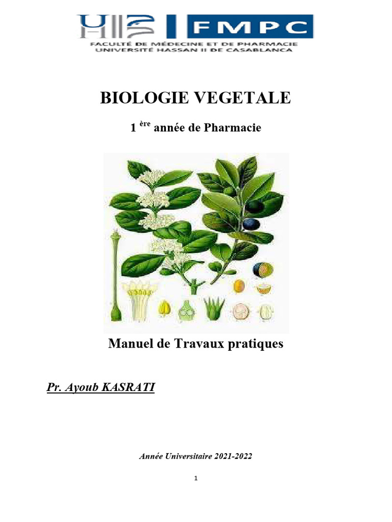 Étude des cormophytes et angiospermes | PDF | Feuille | Fleurs