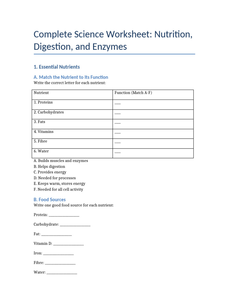 Nutrition and Digestion Worksheet | PDF | Digestion | Foods