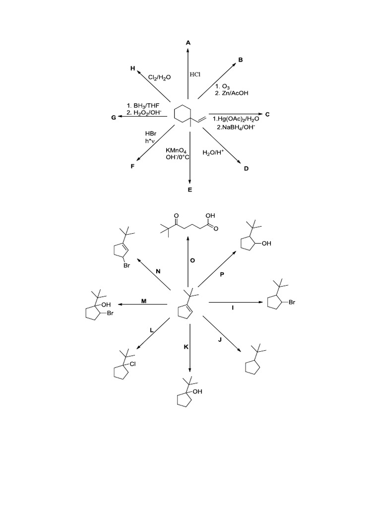 Alkenes-Alkynes Preparation and Reactions Exercises | PDF
