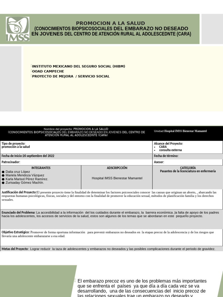 Proyecto Mejora Dalia Cruz Lopez Original | PDF | Juventud | Adolescencia