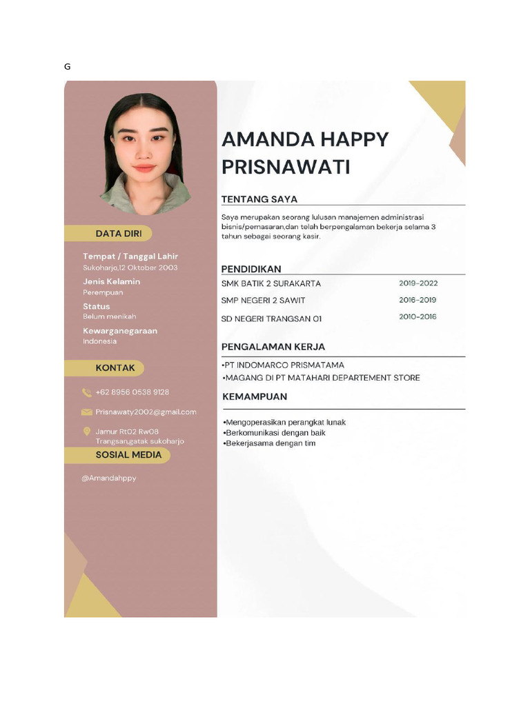 CV Amanda 1 | PDF