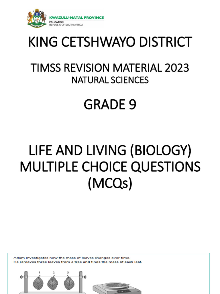 Grade 9 Timss Material 2023 | PDF