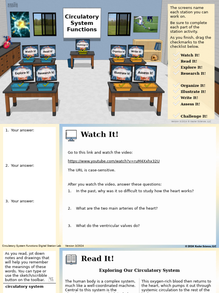 Zachary Jordan - Explore: Circulatory System Functions StationLab | PDF ...